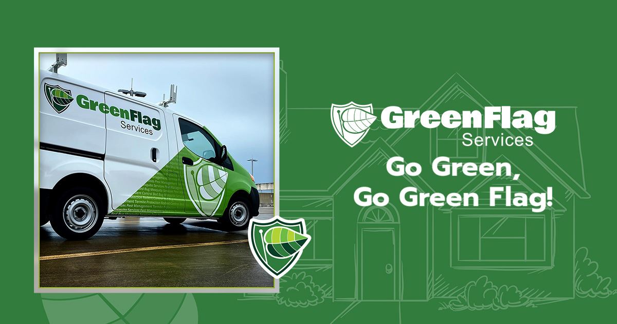 Pest Control in Orlando, FL | Green Flag Services